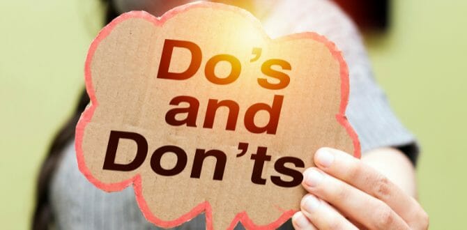 Why Are Classroom Rules Important & Effective Ways to Do It